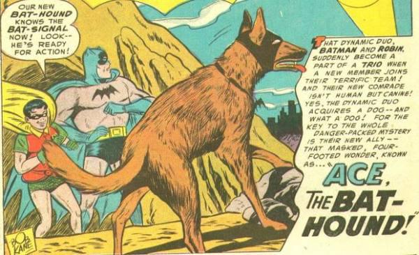 Here Are The 7 Members of the Batman Family You Never Knew About ...