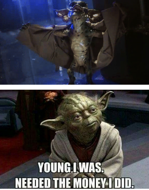 17 Hilarious Yoda Memes On Tumblr :: FOOYOH ENTERTAINMENT